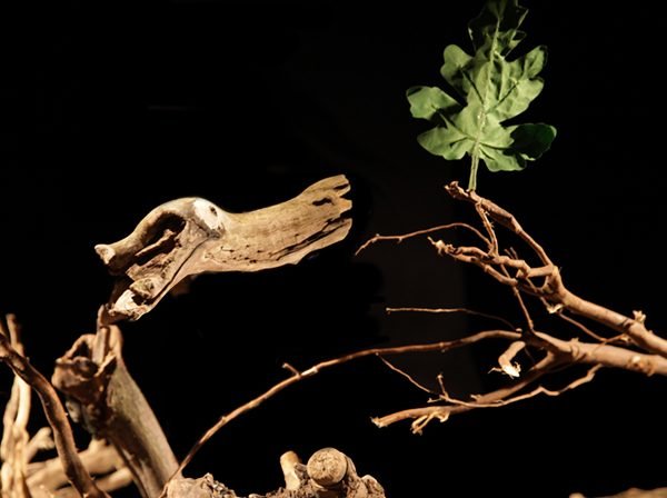 Participate in Puppet Festival Mississauga| Crane Creations